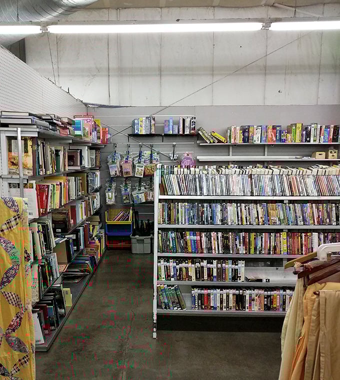 The book section &ndash; where dog-eared paperbacks and forgotten bestsellers create a literary buffet for the budget-conscious bookworm.