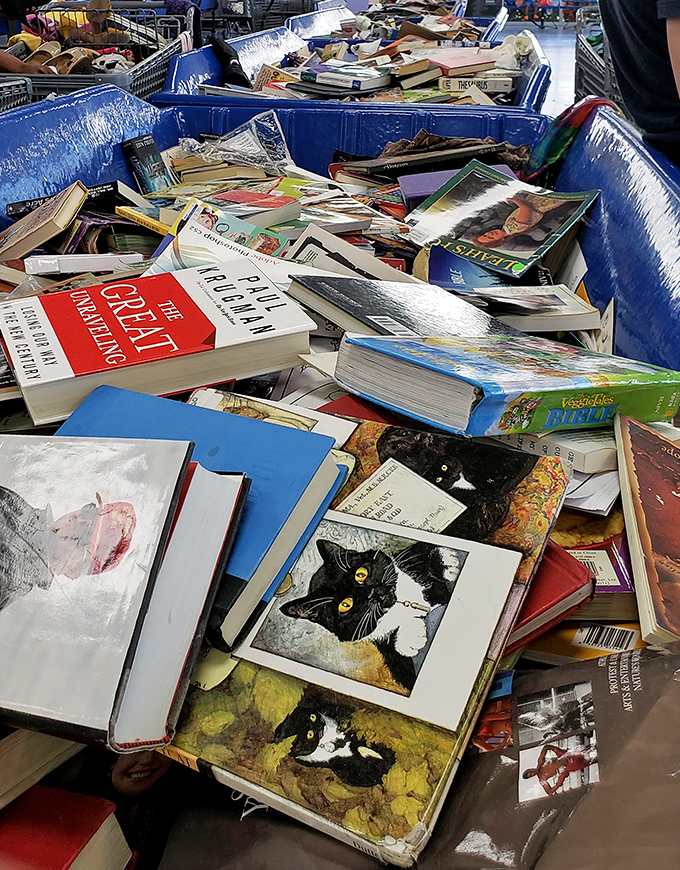 Literary treasures stacked haphazardly like thoughts in a creative mind. That cat book is judging your selection with its yellow eyes.