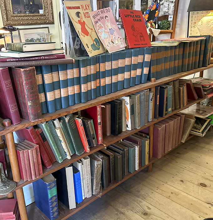 Literary treasures stacked with care, where first editions sometimes hide among Reader's Digest condensed books like diamonds in the rough.