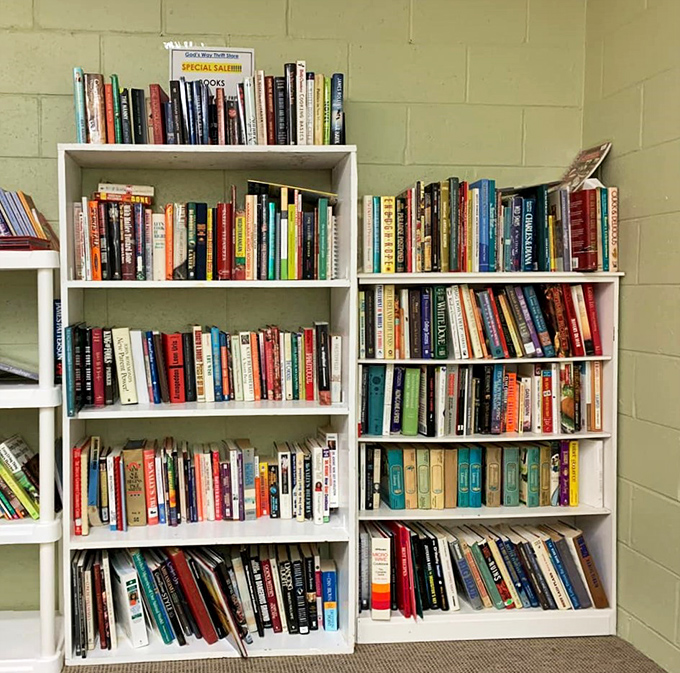 Bookshelves packed with literary treasures offer everything from beach reads to forgotten classics at prices that make bibliophiles rejoice.