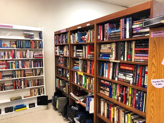 Bookworms rejoice! These well-organized shelves offer everything from beach reads to literary classics, all priced less than your morning latte.