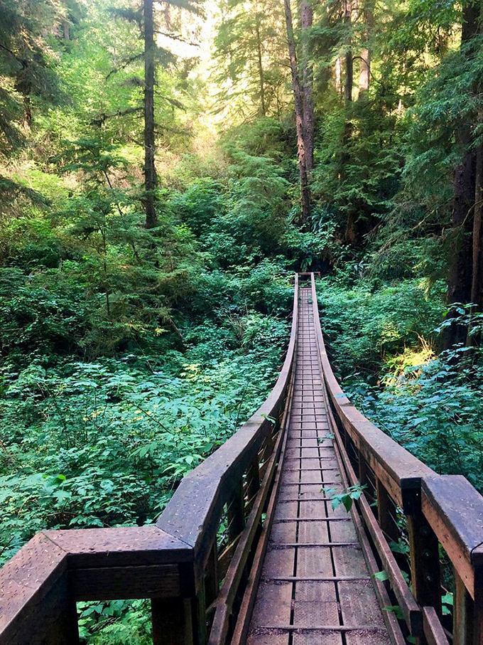 Forest bridges transport you into fairy tale territory, where every step feels like a scene from Narnia.