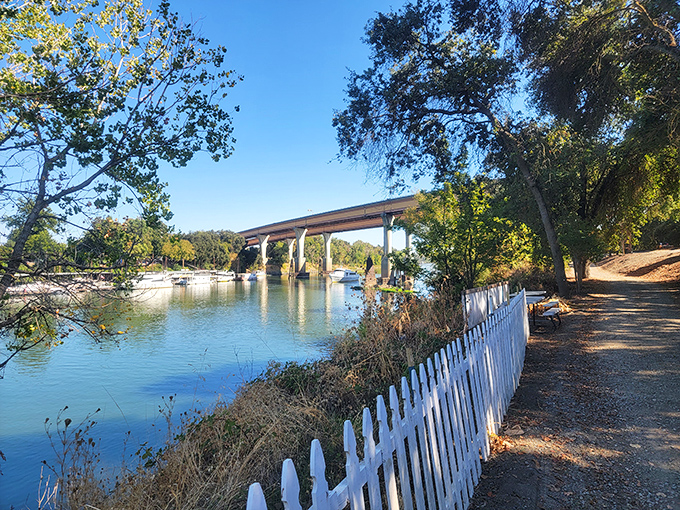 Where river meets rail&mdash;this bridge view captures the essence of Sacramento's natural beauty, framed by white picket perfection.
