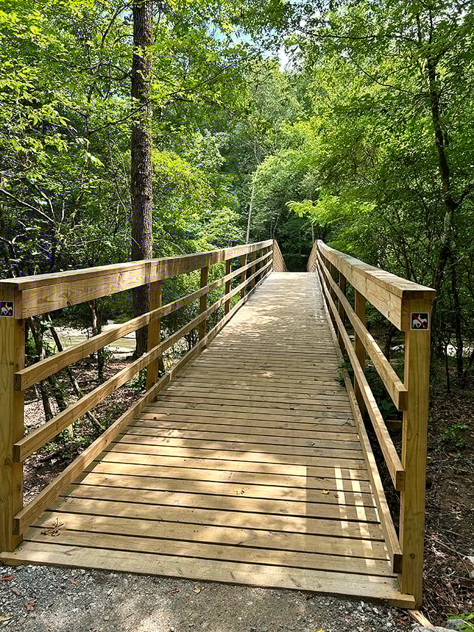 This wooden bridge isn't just crossing a stream&mdash;it's crossing the threshold between your regular life and your "why don't I do this more often" life.