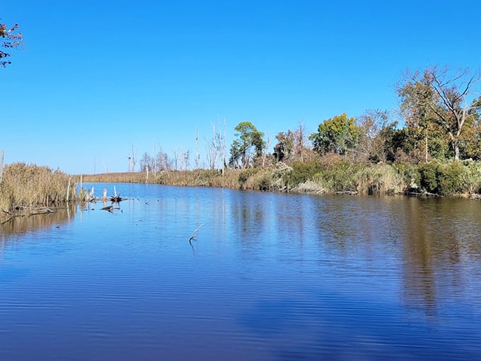 Mirror-like waters reflect Maryland's blue skies, creating a double dose of serenity that no meditation app could ever replicate.