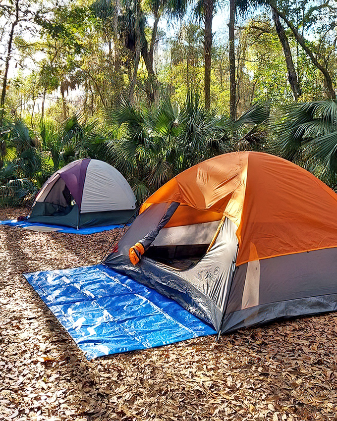 Camping among the palmettos&mdash;where your tent becomes a five-star accommodation simply because of the million-star ceiling above.