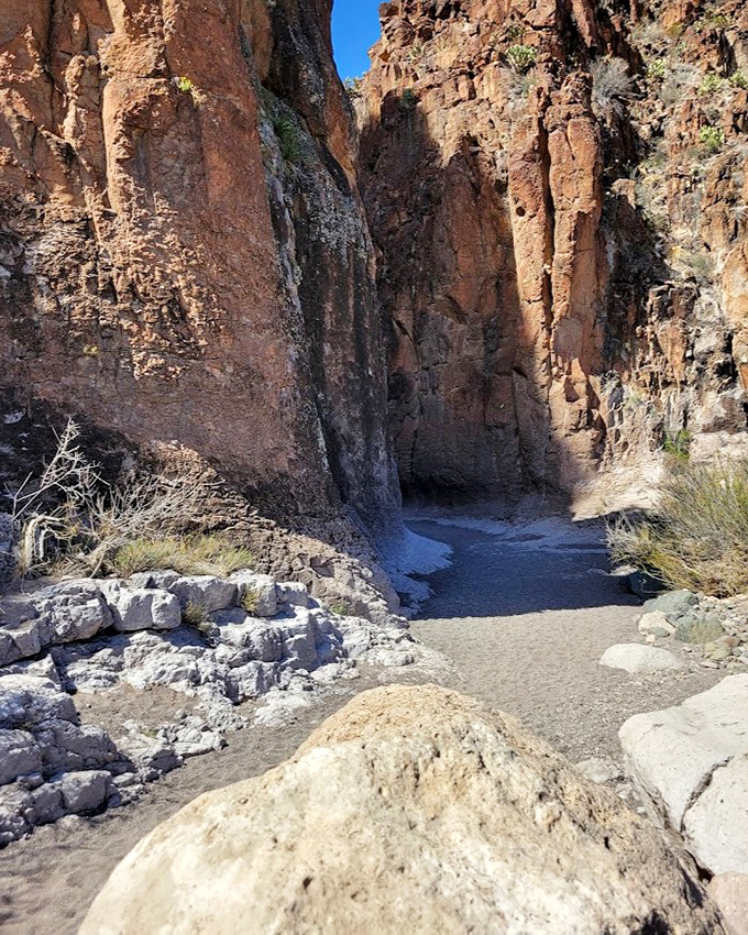 Slot canyons: where claustrophobia meets wonder. These narrow passages feel like walking through Earth's own secret corridors.