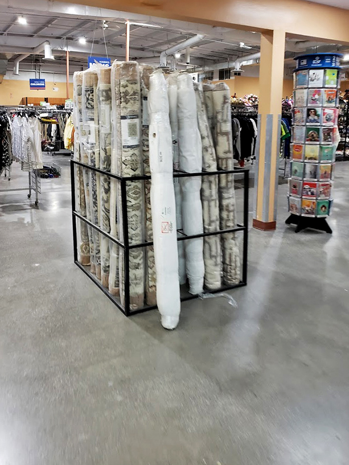 Rolled rugs standing at attention like sentries, each hiding patterns and possibilities for transforming bare floors into cozy spaces.