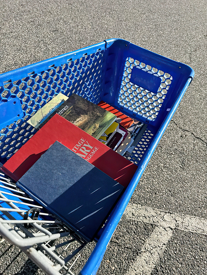 Literary treasures await in this blue cart &ndash; from bestsellers to obscure gems, each book representing someone else's finished adventure and your next journey.