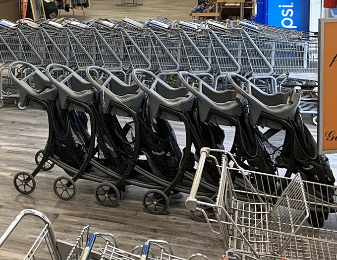 Shopping carts lined up like eager racehorses at the starting gate, each ready to carry away someone's newfound treasures.