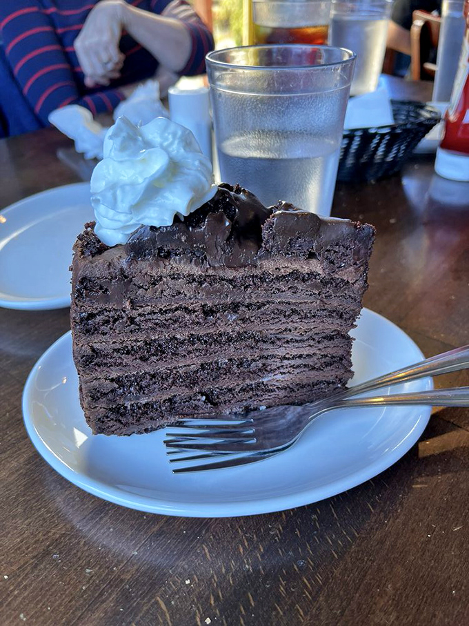 A slice of chocolate cake so rich and layered it deserves its own ZIP code, topped with whipped cream for that perfect sweet finale.