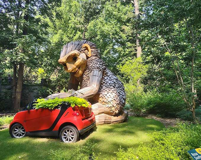 "Honey, I think we parked in the wrong spot!" A wooden giant seems quite interested in that little red car&mdash;perhaps the ultimate carpool companion.