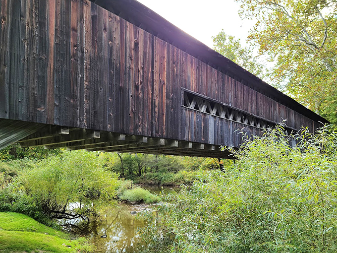 The reflection in Conneaut Creek doubles the visual pleasure. It's like getting two bridges for the price of one scenic drive.
