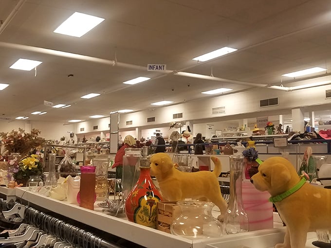 Yellow dog figurines guard the glassware section like cheerful sentinels protecting your future dinner party supplies.
