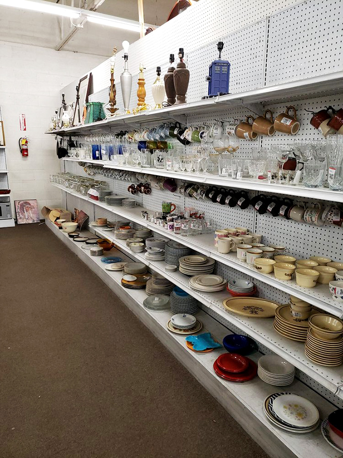 Dishes upon dishes upon dishes—each plate with its own history, ready to host your next dinner party conversation starter.