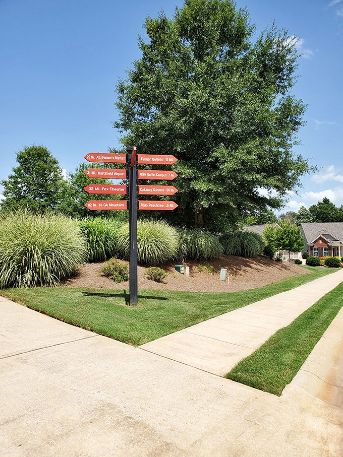 These directional signs aren't just helpful&mdash;they're a roadmap to your new social calendar that's busier than your work schedule ever was.