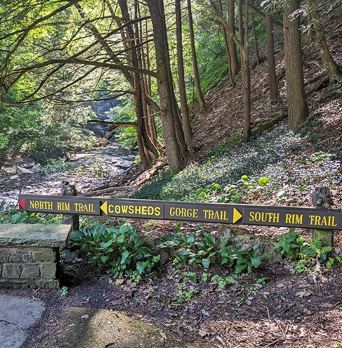 Trail signs point the way to adventure. Like a choose-your-own-ending book, but with more exercise and better views.