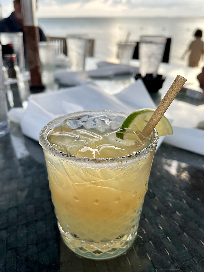 A salt-rimmed margarita catching the afternoon light, with that paper straw saying "Yes, we care about the ocean just outside."