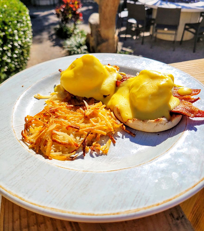 Eggs Benedict so perfect, it makes you wonder if the chef has some secret hollandaise recipe passed down through generations of breakfast wizards.