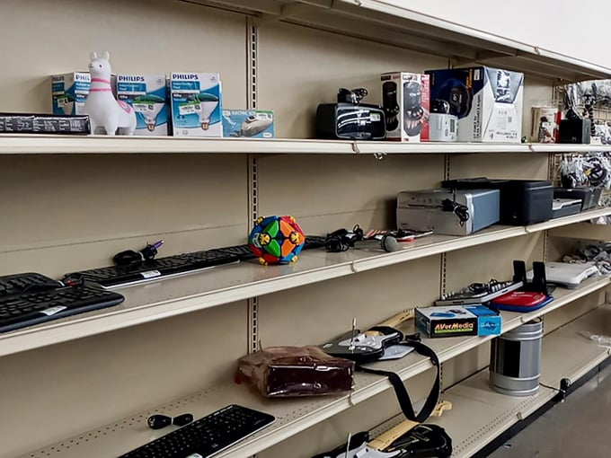 Electronics shelves offer gadgets galore, from keyboards to vintage tech. That unicorn lamp might just be the conversation piece your office needs.
