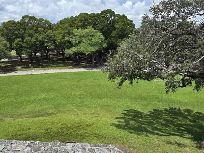 A bird's-eye view reveals the park's expansive green spaces. From up here, Miami's hustle feels like a distant memory.