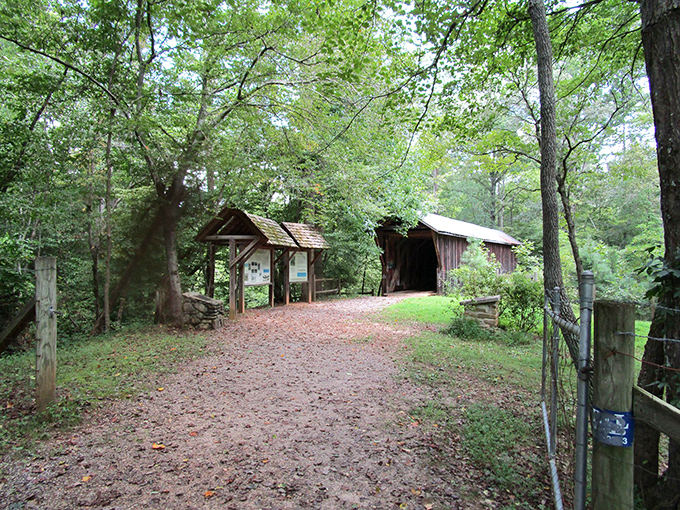 The approach to the bridge feels like the opening scene of a period film—rustic, inviting, and promising adventure just around the bend.