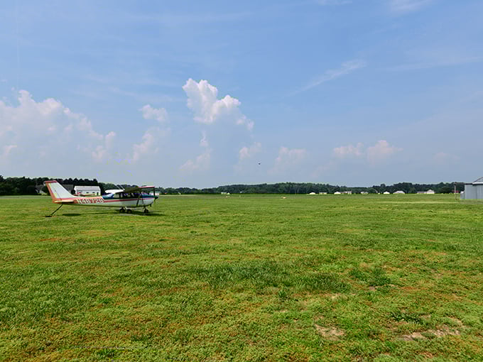 The aerodrome's expansive green field provides the perfect landing pad for both conventional aircraft and unconventional architecture.