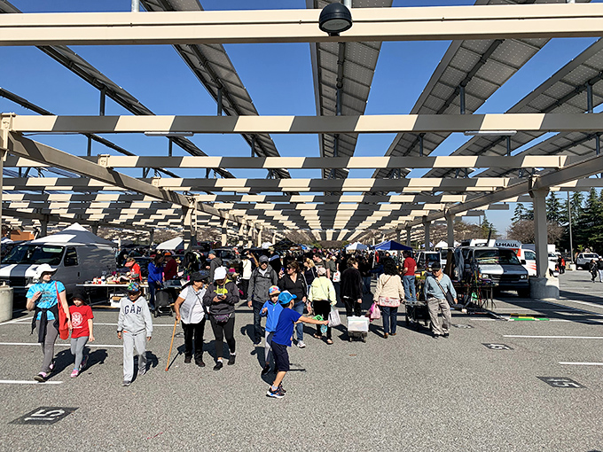 Saturday morning crowds navigate the solar panel shade structures with the determination of seasoned explorers.