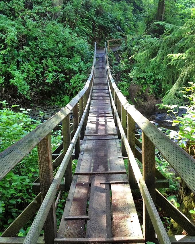 Crossing this bridge feels like stepping into a Ghibli film&mdash;half expecting forest spirits to appear between the trees.