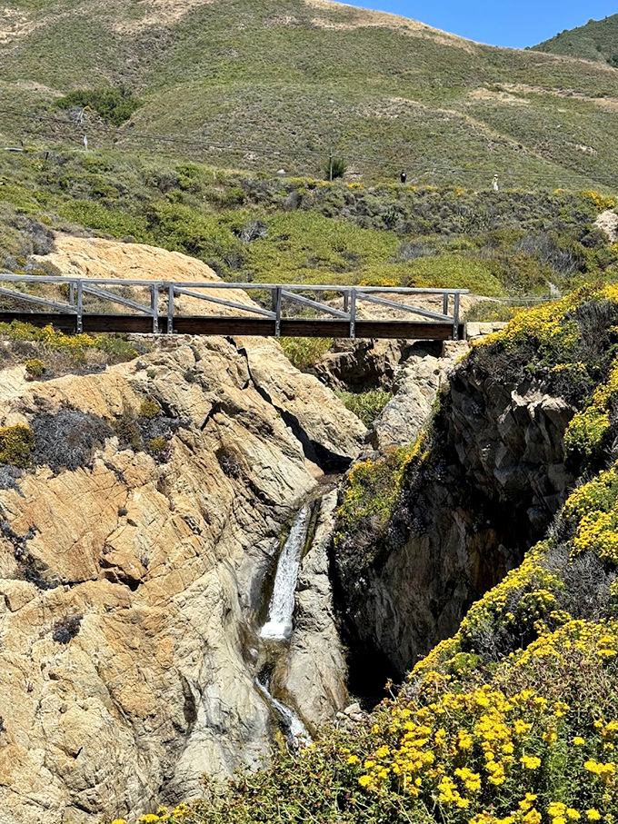 Another rustic bridge crossing a dramatic ravine. In California, even the infrastructure gets to show off against spectacular backdrops.