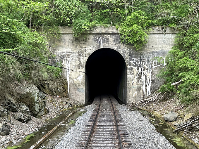 Some tunnels hide trolls in fairy tales, but this one promises a magical passage through Virginia's ancient mountains—engineering marvel meets natural wonder.