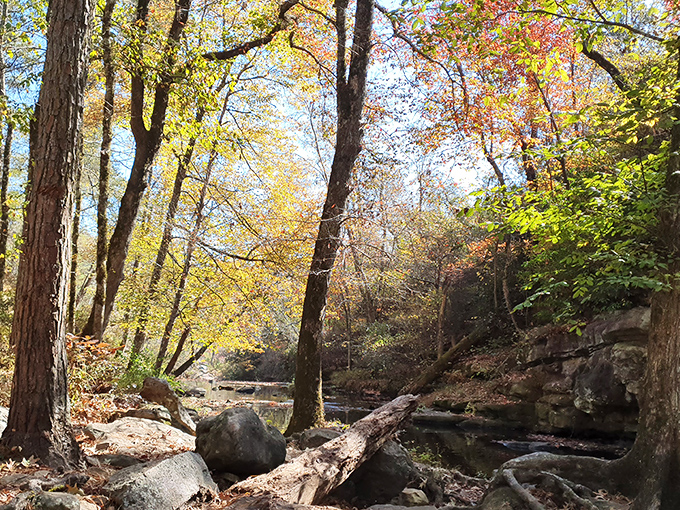 Autumn's paint palette goes wild here, showing off like a proud grandparent with photos.