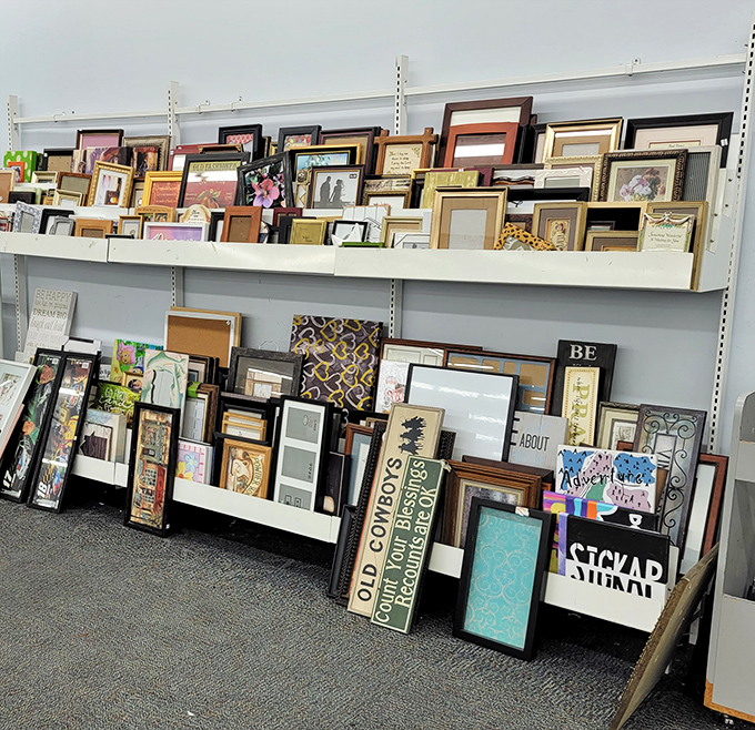 Frame department: where your memories and motivational quotes find their forever homes without breaking the bank.