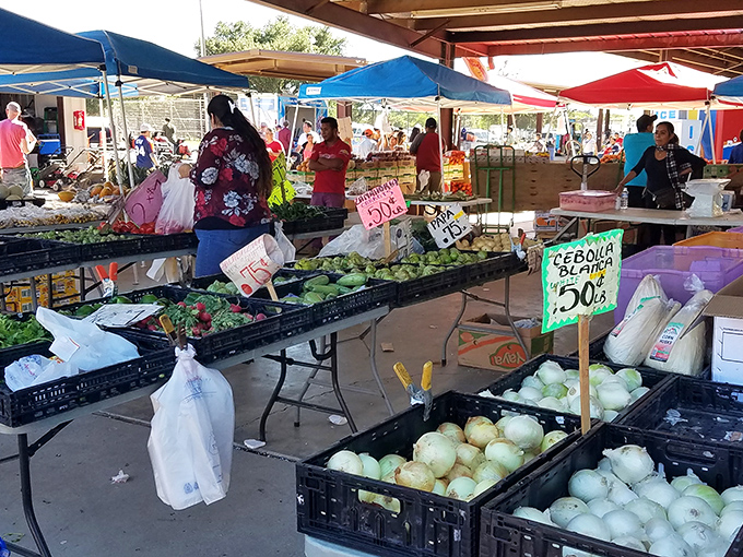 Farm-to-flea-market freshness on display. These vegetables didn't travel across continents to reach your table&mdash;they probably came from just down the road.