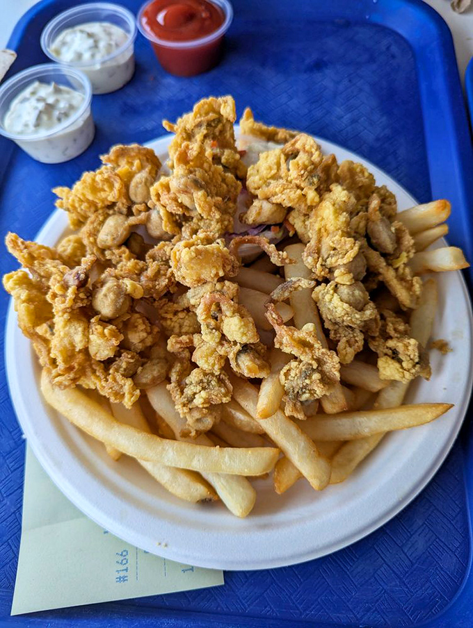 Golden-fried whole belly clams achieve that perfect textural contrast—crispy exterior giving way to tender, briny goodness that makes New Englanders swoon.
