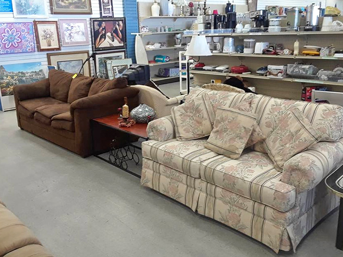 Living room showdown: cozy brown versus floral chic. These sofas have stories to tell, and at these prices, you can afford to listen.