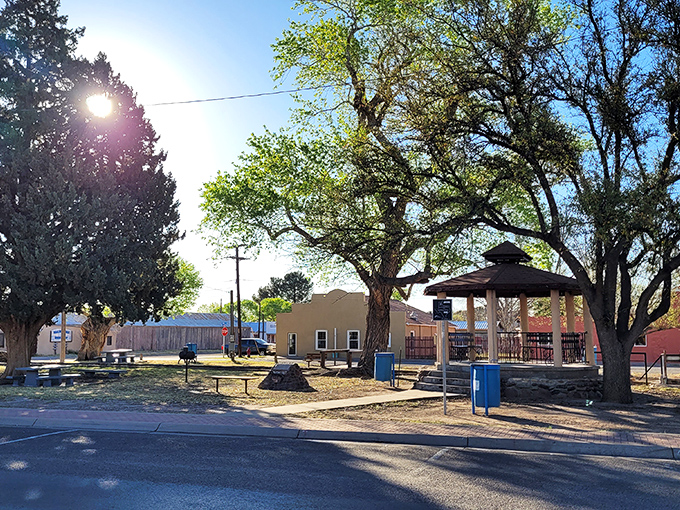 Shade trees and picnic tables create the perfect setup for family gatherings and lazy afternoons.