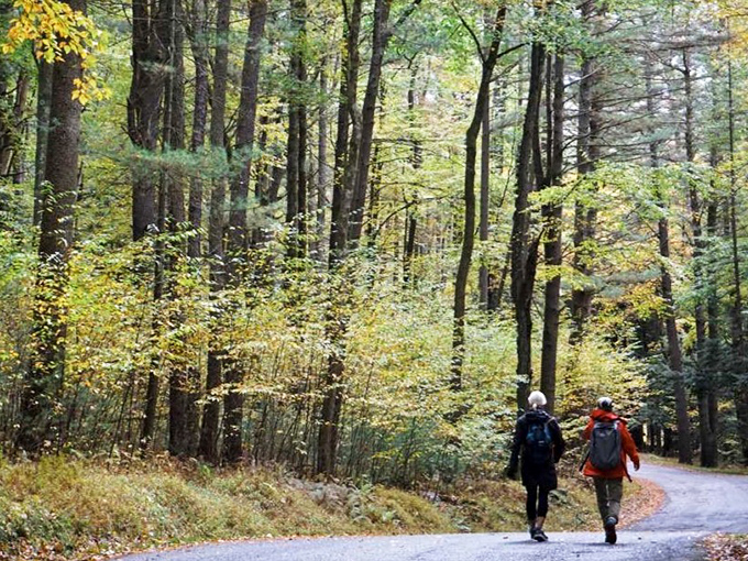 Two hikers discovering that autumn trails are nature's version of a Broadway show&mdash;spectacular colors, no tickets required.