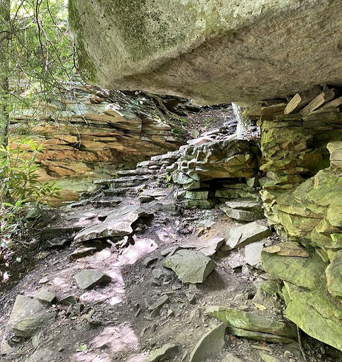 This rocky trail feels like walking through Earth's timeline. Each stone tells a geological story older than any human civilization.
