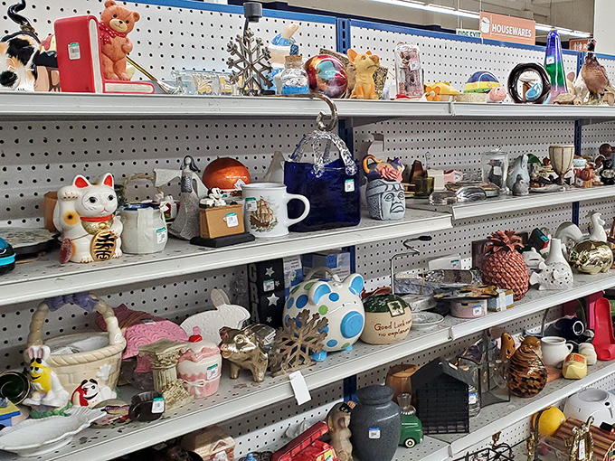 Ceramic menagerie! That lucky cat might just bring good fortune to your wallet and your windowsill.