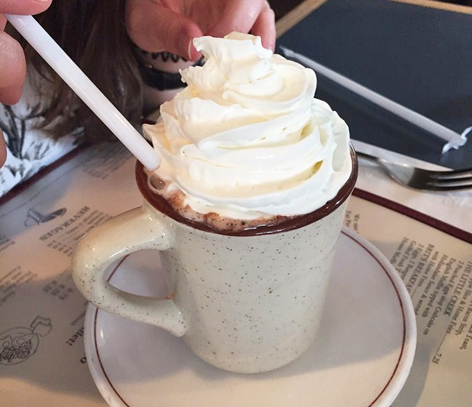Hot chocolate topped with a cloud of whipped cream&mdash;the kind of simple pleasure that makes you wonder why anyone bothers with fancy coffee drinks.