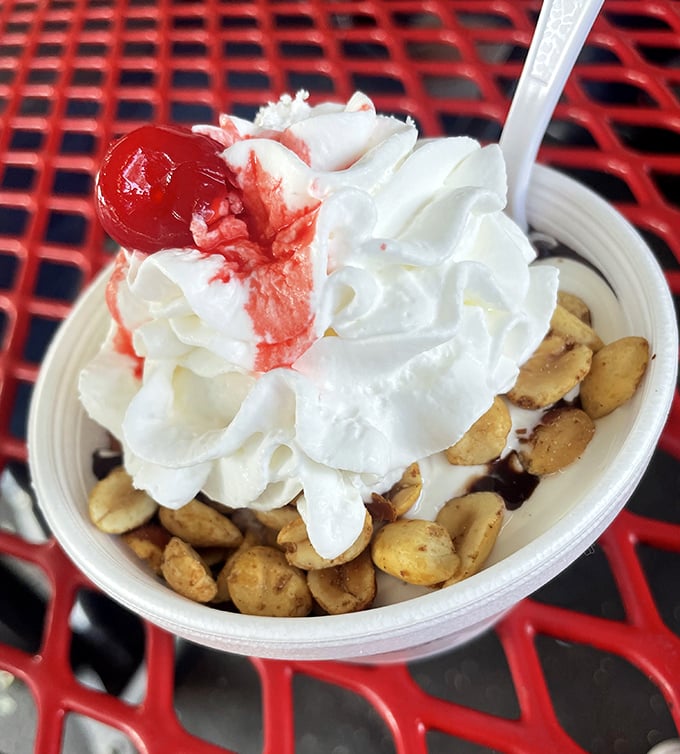 Dessert paradise found: whipped cream mountains, cherry-topped sundaes, and enough joy to make adults giggle like children again.