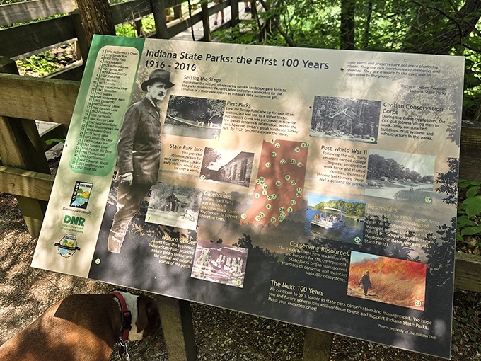 A century of conservation history captured on one sign. From dusty past to green future in a single glance.