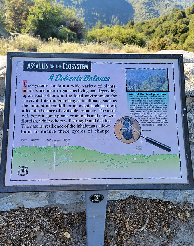 "Assaults on the Ecosystem"&mdash;even the educational signs here offer drama and intrigue, turning a nature lesson into a compelling mountain mystery.