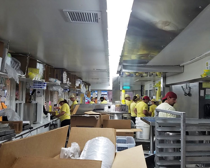 The assembly line of joy&mdash;where minimum-wage workers become maximum-happiness providers. Every yellow shirt represents years of custard-crafting expertise.