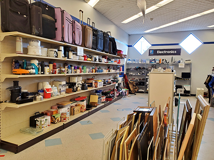 Kitchen appliances, luggage, and framed art create a homegoods department that rivals any big box store. The electronics sign promises technological treasures.