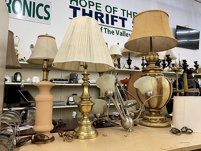 The lamp section glows with potential, offering everything from grandma-chic to surprisingly modern pieces that would cost a fortune at designer stores.