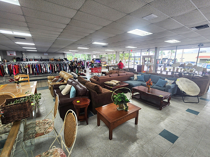 The furniture department feels more like a well-curated living room showroom than a secondhand store. Comfort without the sticker shock.