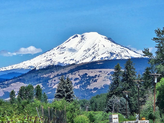 Snow-capped majesty that makes postcards jealous. Mount Hood dominates the horizon, reminding us why Oregonians put up with all that rain.