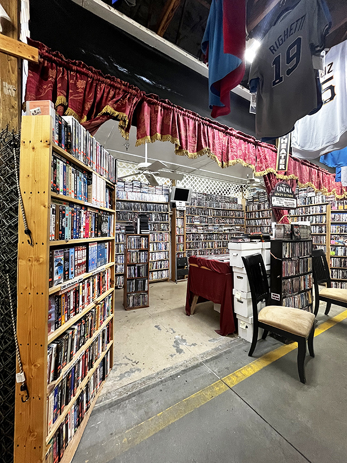 Cinema paradise! Red velvet curtains frame this DVD wonderland where forgotten classics and yesterday's blockbusters await their second act.